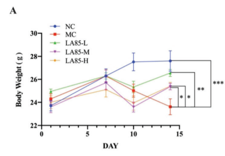 微·益菌 |嗜酸乳杆菌LA85通过调节肠道微生物群从而改善环磷酰胺诱导的免疫抑制 - 知乎