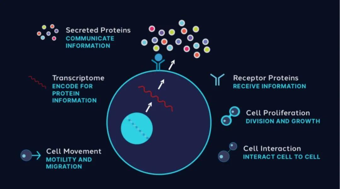 初识PhenomeX——“基因+蛋白+表型”全能型选手的养成之路 - 知乎