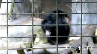 在 Rust 中使用 FFmpeg (2)：视频解码测试 - 知乎