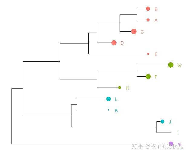 ggtree学习笔记2 - 知乎