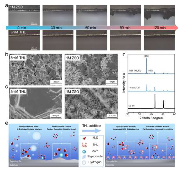 南大周豪慎Angew.：CE近100%！海藻糖添加剂助力Zn-Cu电池 - 知乎