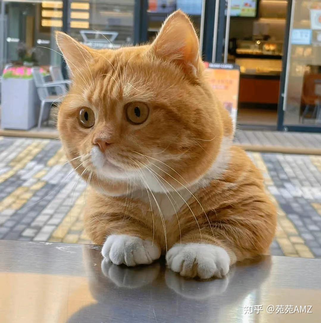 亚马逊折扣叠加说明: - 知乎