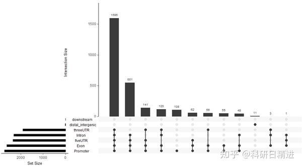 用chipseeker对chip Seq数据进行可视化，图表直观颜值高！ 知乎