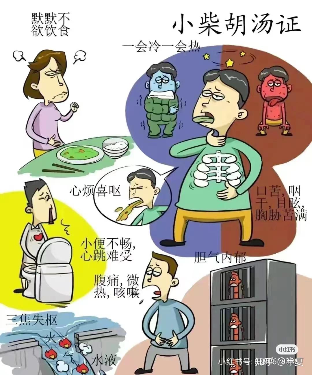 伤寒论之少阳病 - 知乎