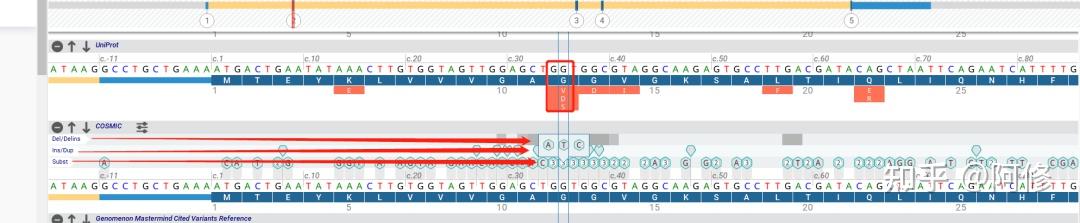 Alamut Visual Plus 个人体验 - 知乎