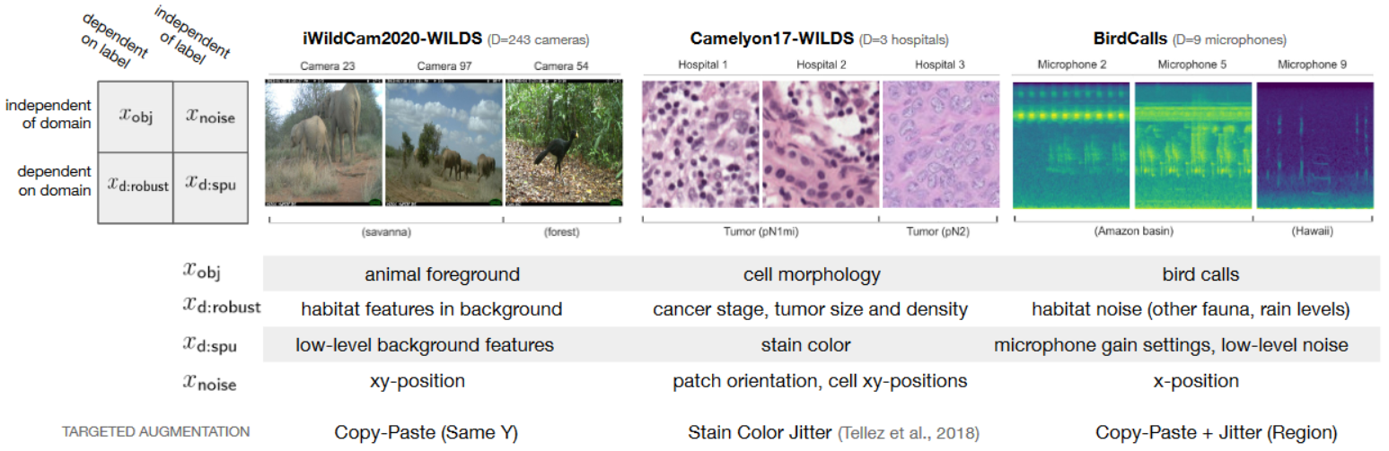 Out-of-Domain Robustness via Targeted Augmentations - 知乎