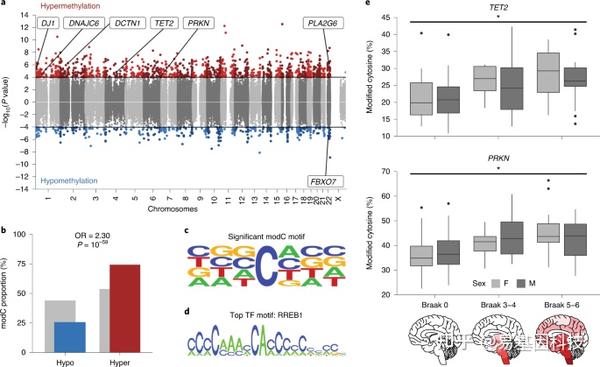 易基因｜DNA甲基化研究的测序数据挖掘思路：干货分享 - 知乎