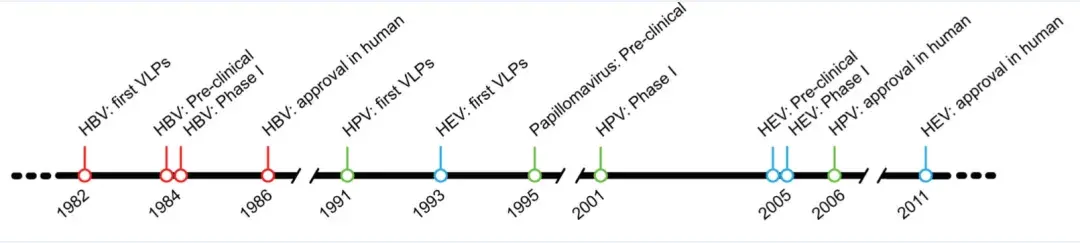 解锁VLP疫苗奥秘：初学者入门VLP疫苗指南及最全VLP表达平台解析 - 知乎