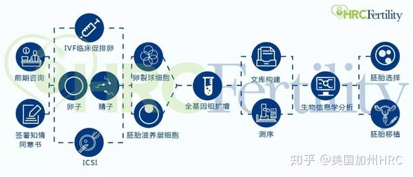 HRC课堂 | 胚胎等级 vs PGS/PGD，哪个才是衡量胚胎移植的最佳标准？ - 知乎