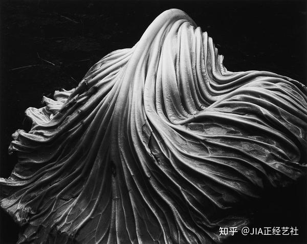大师系列 / “摄影界的毕加索” 爱德华·威斯顿 Edward Weston - 知乎