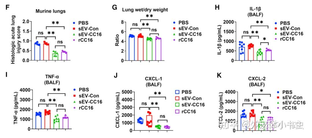 文献分享【Mol. Ther.】外泌体装载CC16蛋白治疗肺急性炎症反应 - 知乎