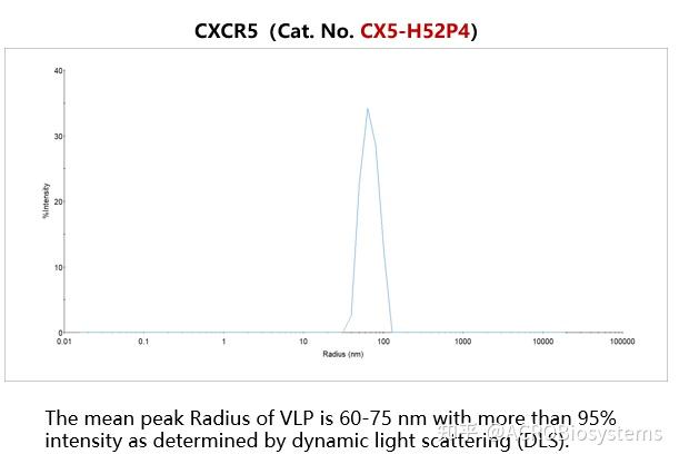 【靶点新势力】深挖CXCR家族，揭秘CXCR在肿瘤免疫中的价值 - 知乎