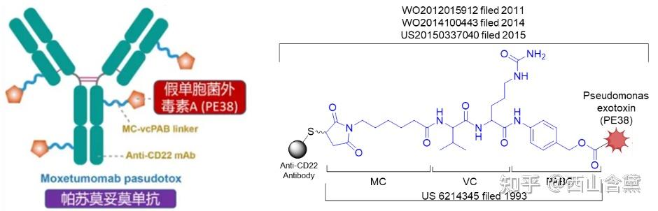 已批准ADC的专利布局 - 知乎