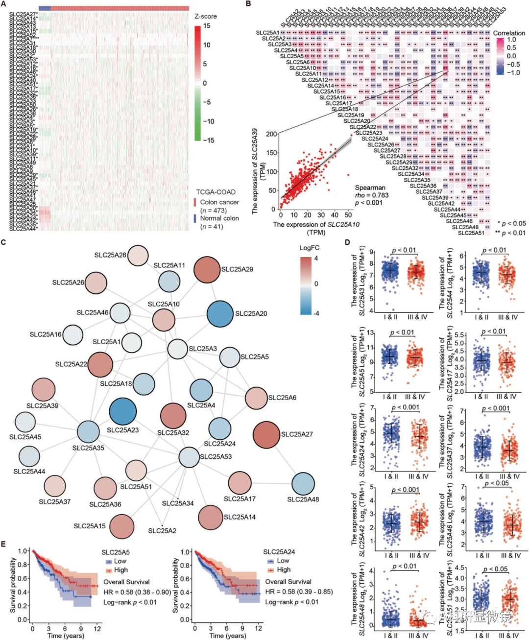 单基因玩腻了？要不试试基因家族？基因家族单肿瘤SCI新玩法！ - 知乎