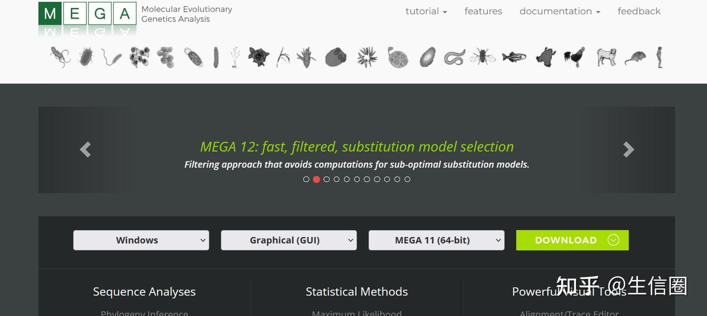 MEGA：新版本12发布！分子进化与系统发育分析软件的强大升级，计算更快更智能！ - 知乎