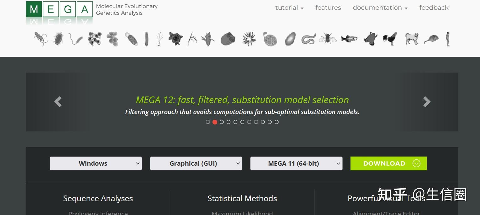 MEGA：新版本12发布！分子进化与系统发育分析软件的强大升级，计算更快更智能！ - 知乎