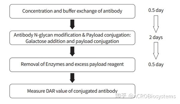 【新品来袭】ADC定点偶联试剂盒现货发售 - 知乎