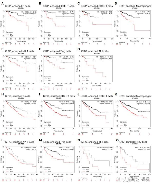单基因纯生信轻松发6分SCI - 知乎