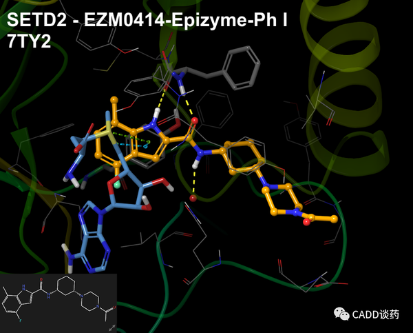 Escape Flatland | 近期两个临床分子示例 - 知乎