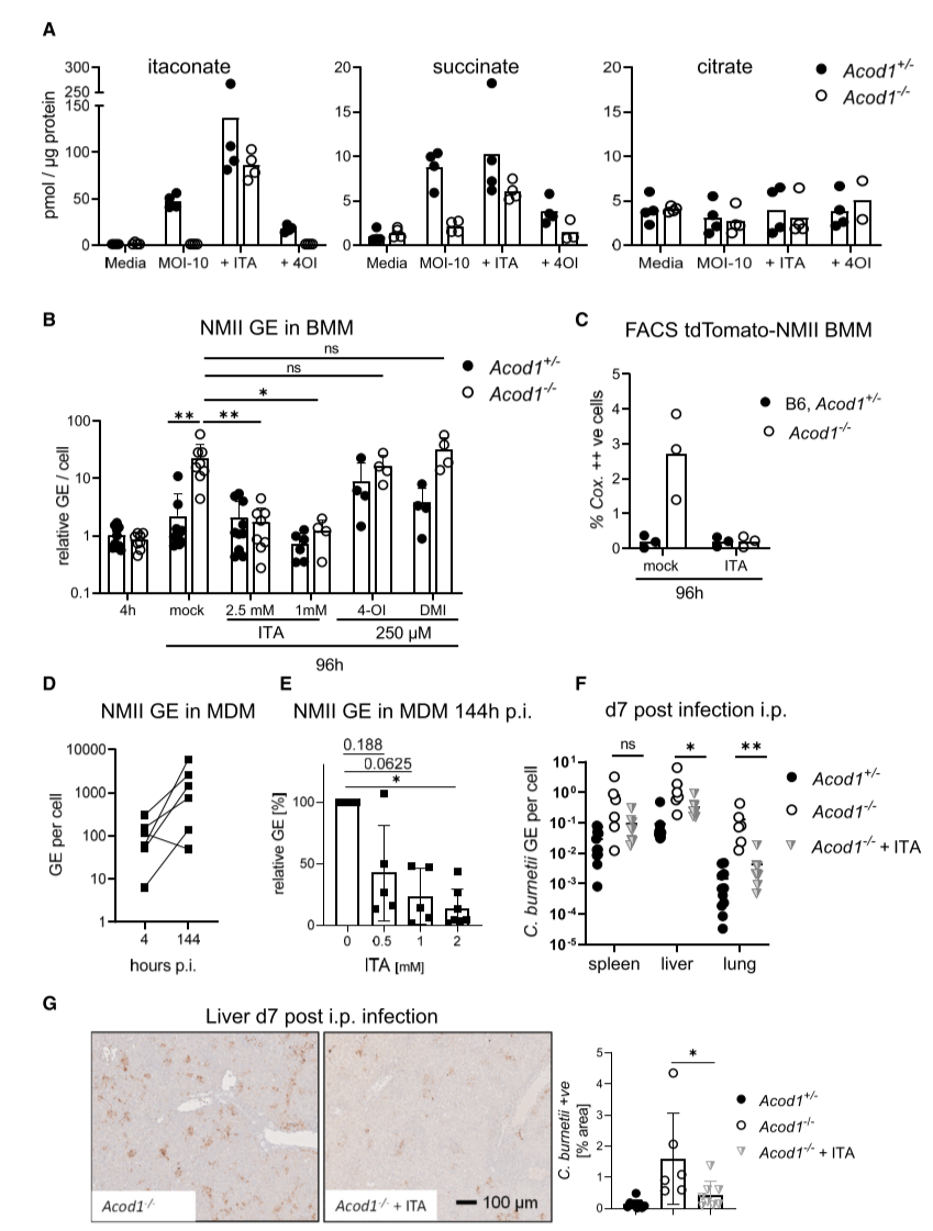EMBO Mol Med丨14分丨巨噬细胞通过 ACOD1-衣康酸途径抑制伯氏柯克斯体以遏制 Q 热 - 知乎