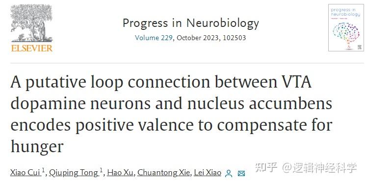 Prog Neurobiol︱复旦大学肖雷课题组揭示中脑多巴胺神经元调控进食行为的神经机制 - 知乎