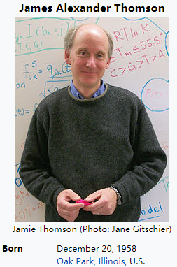 iPS细胞和胚胎干细胞的区别和临床应用现状 - 知乎