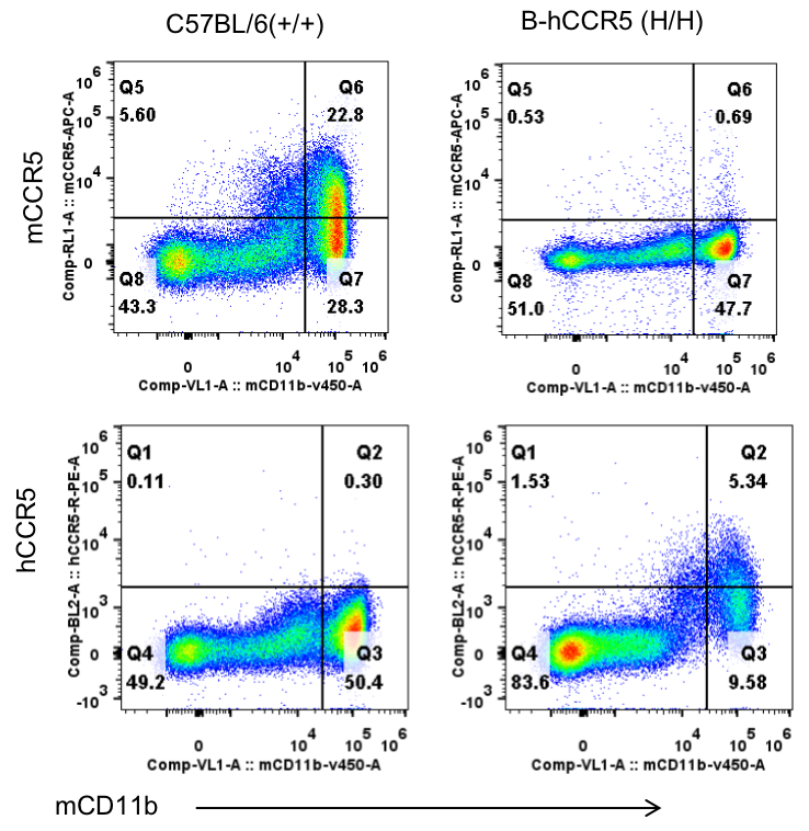 靶向免疫治疗“黄金搭档”——趋化因子CCR家族 - 知乎