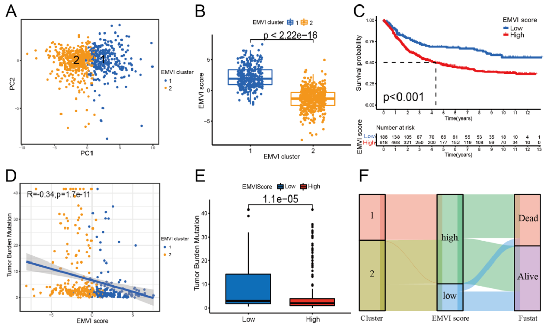 从临床问题切入，分析壁外血管侵犯(EMVI)和免疫相关基因！这篇8分+生信文章极具借鉴意义，还告诉你验证实验这么加更有价值~ - 知乎