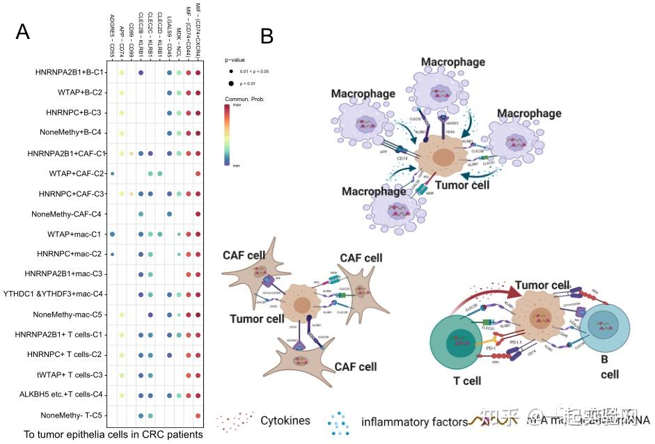 8+！单细胞+m6A相关分析~ - 知乎