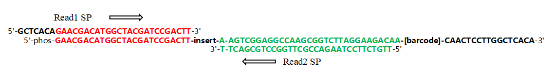 MGI和illumina常见文库结构 - 知乎
