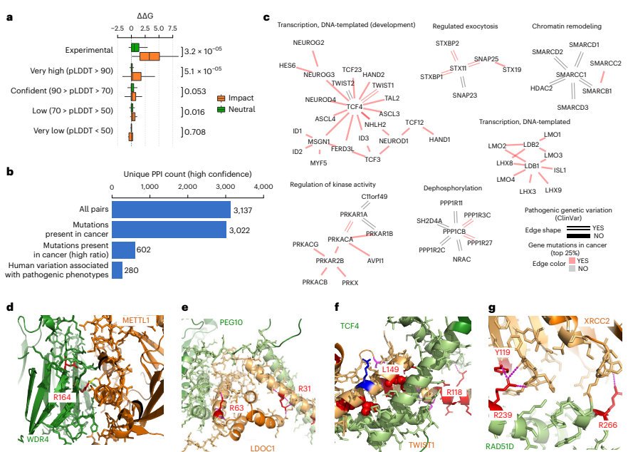 Nat. Struct. | 旨在解析人类蛋白质相互作用结构的网络 - 知乎