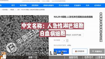 NALM-6细胞培养，人急性淋巴细胞白血病细胞培养攻略 - 丰晖生物 - 知乎