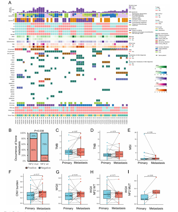 TOP期刊首次揭示FH-RCC转移病灶的基因组、表观基因组和转录组特征 - 知乎