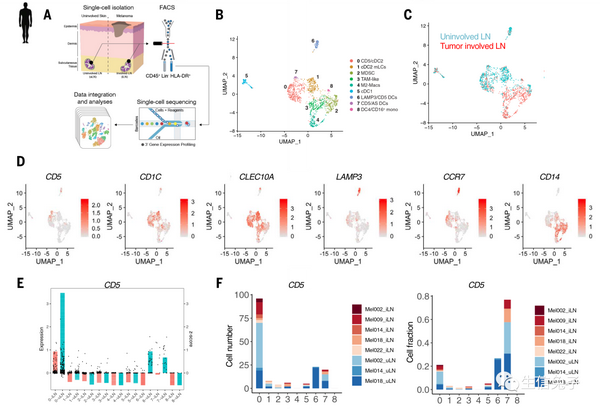 Science | 单细胞测序揭示 CD5+DCs 指导T细胞免疫并维持免疫治疗反应 - 知乎