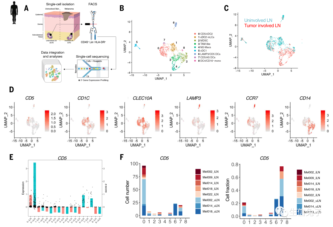 Science | 单细胞测序揭示 CD5+DCs 指导T细胞免疫并维持免疫治疗反应 - 知乎