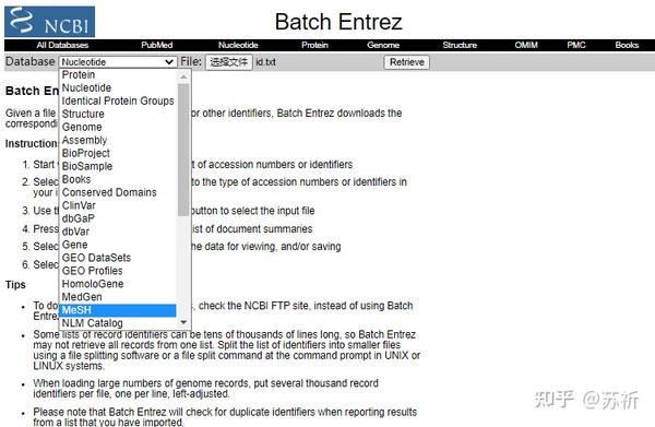 Entrez：ncbi数据检索及下载 - 知乎