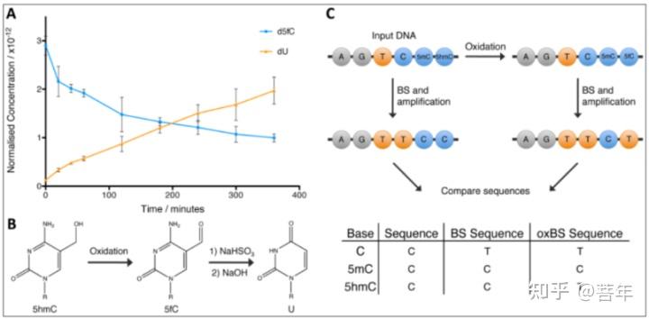 DNA甲基化建库 学习1 - 知乎