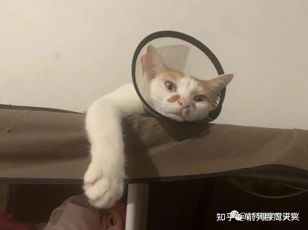 40岁以后的男人,前列腺会发生怎样的变化 ? 知乎