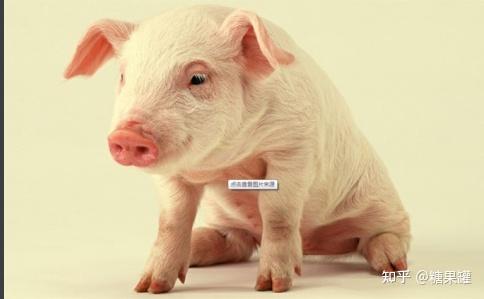 布局 FrameLayout - 知乎