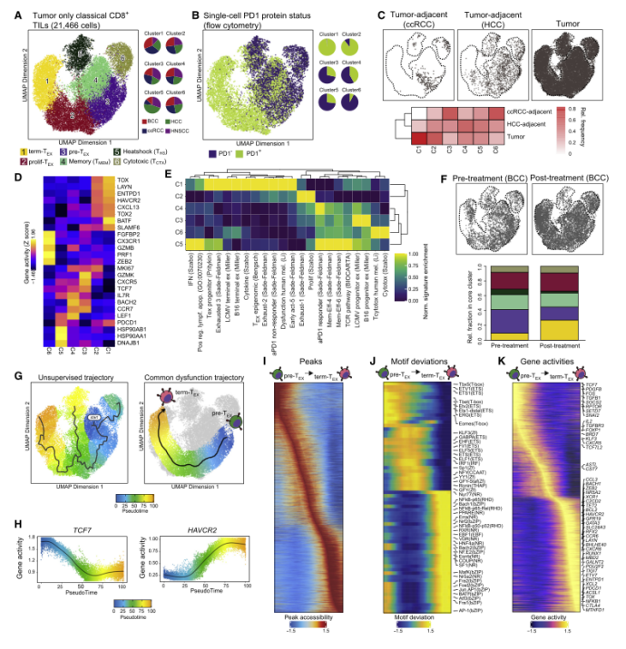 文献解读|Molecular cell （IF=19.328）单细胞多组学解析人类肿瘤浸润T淋巴细胞增强子图谱 - 知乎