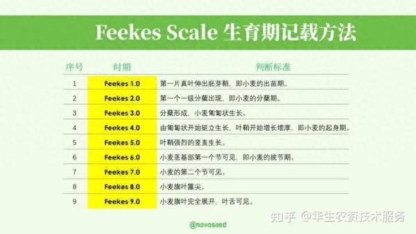 「注意」小麦全程周期，一生多磨难！田间管理最关键，建议收藏！ - 知乎