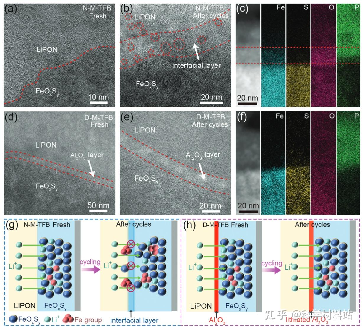 南京理工大学夏晖课题组AFM观点：双界面修饰为全固态薄膜FeOxSy/LiPON/Li微电池“保驾续航” - 知乎