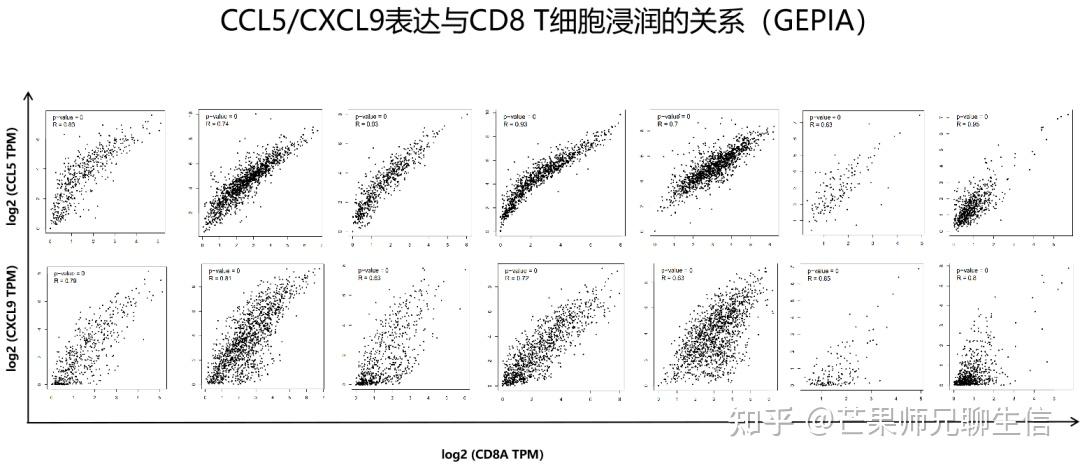 肿瘤免疫 · 实操教程Day04.GEPIA入门教程 - 知乎