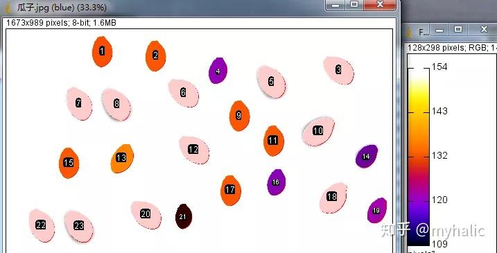 干货 | 一把西瓜子也能教会你 ImageJ 图片分析 - 知乎