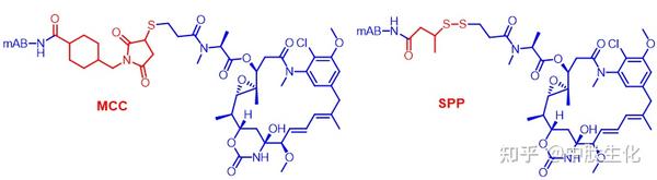 全球15款上市ADC药物技术透视及未来创新方向 - 知乎