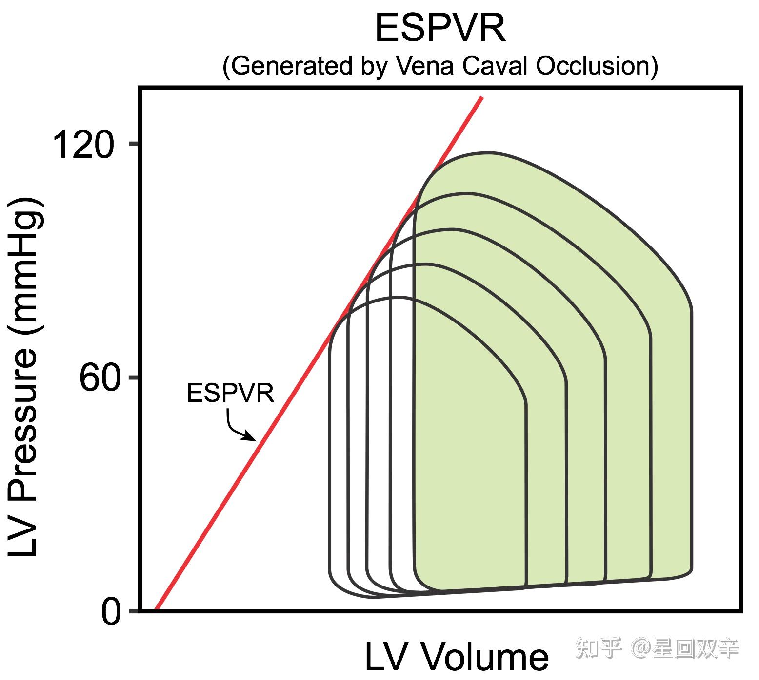 左心室压力-容积环（Left ventricular pressure-volume (PV) loops） - 知乎
