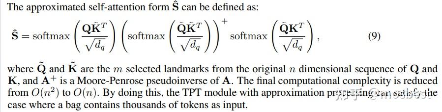 TransMIL: 基于 Correlated Multiple Instance Learning Transformer 用于 WSI Classification - 知乎