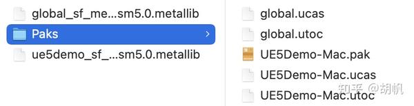 UE5 Zenloader - 知乎