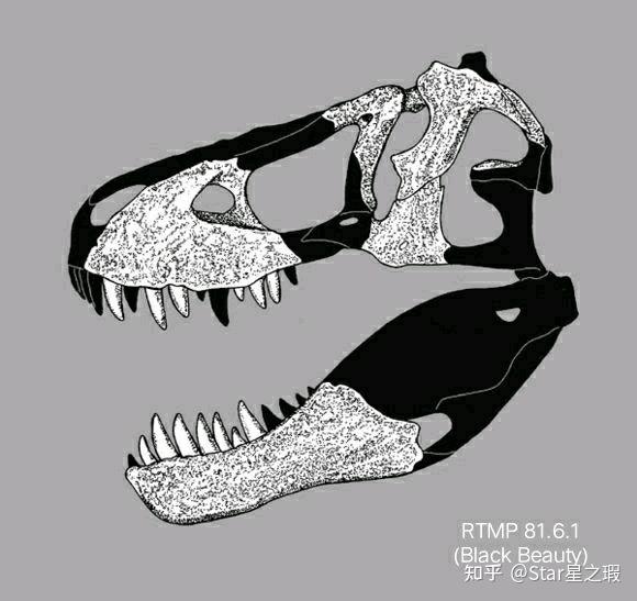 霸王龙体型的一些个人推测 - 知乎