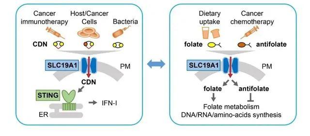 北理工连发5篇《Nature》《Science》！ - 知乎